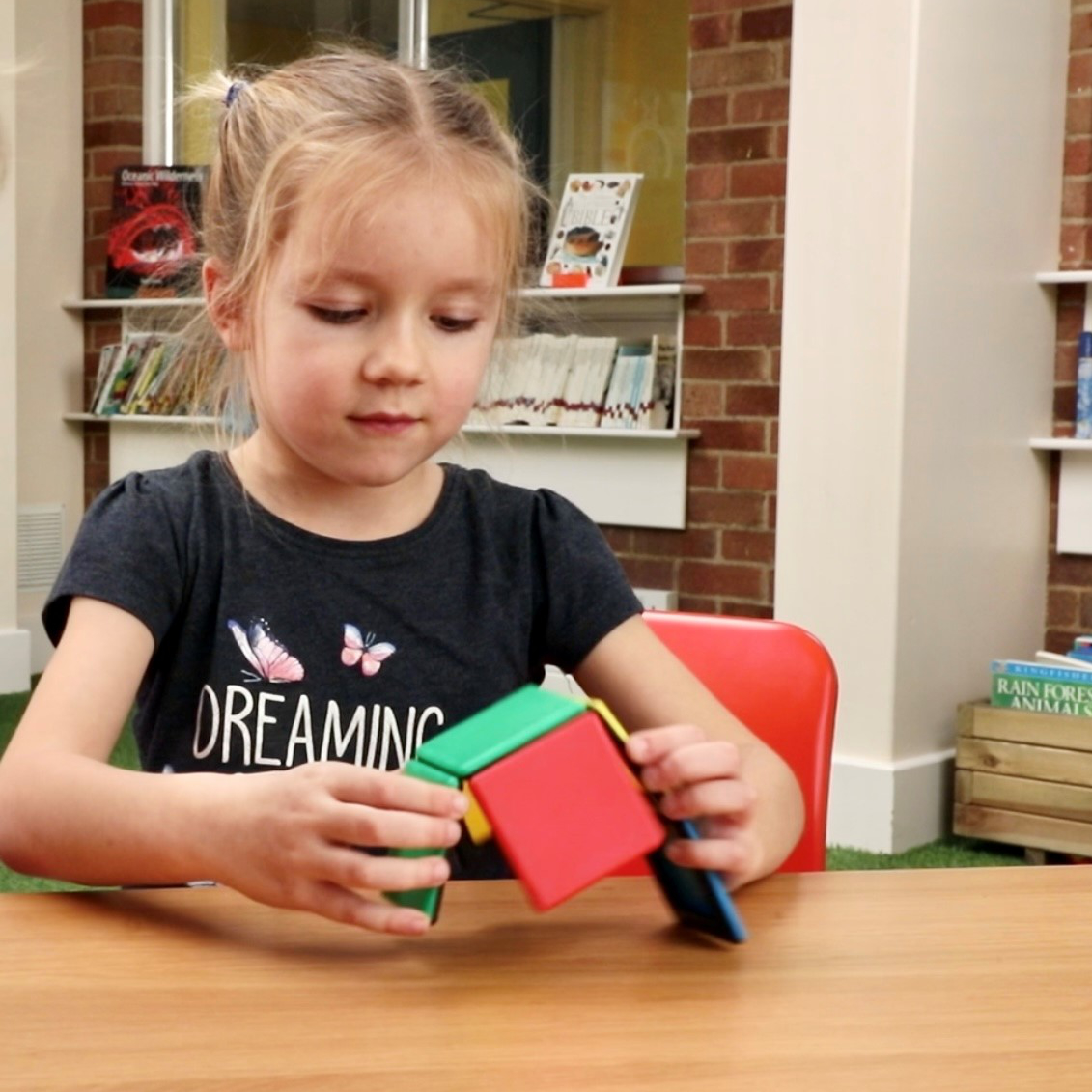 Solid Magnetic Polydron Starter Set